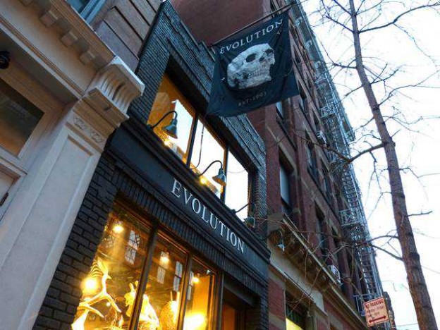 ソーホーで出会った不思議なお店 The Evolution Store - Petite New York