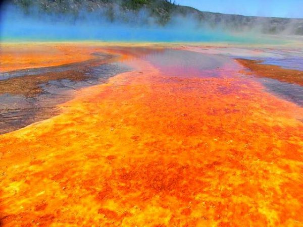 イエローストーン国立公園 見どころ 観光モデルコース 世界遺産の絶景 間欠泉と温泉 - Petite New York