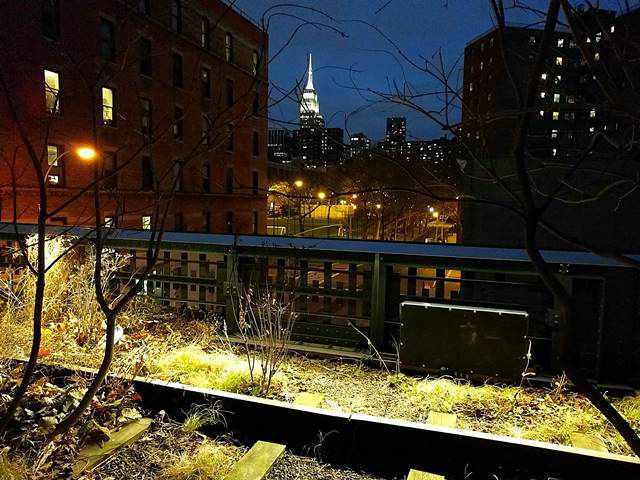 ハイライン NY 夜の美しい幻想的な光の景色とエンパイアステートビル - Petite New York