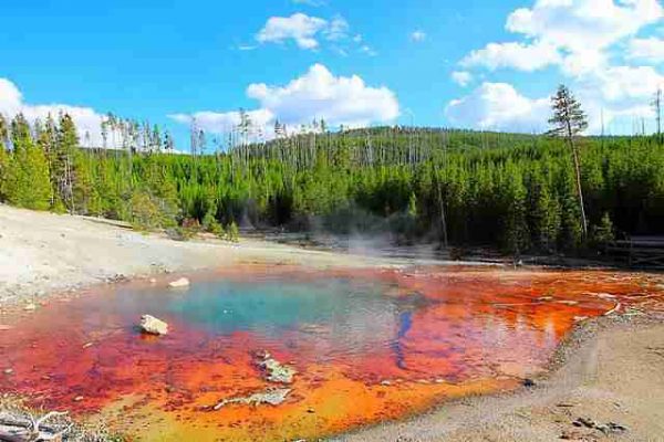 イエローストーン国立公園 見どころ 観光モデルコース 世界遺産の絶景 間欠泉と温泉 - Petite New York