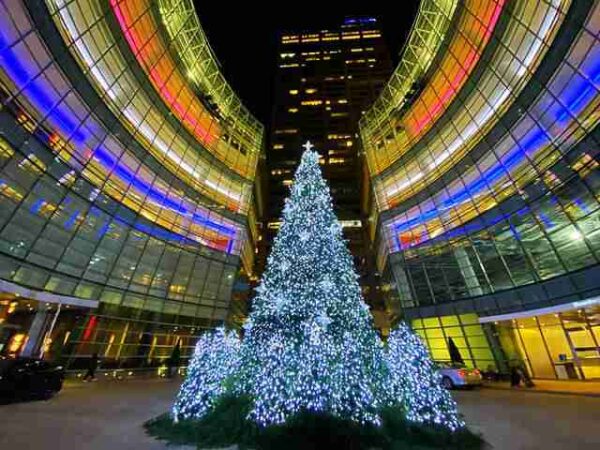 ニューヨークのクリスマスツリーおすすめ14選 - Petite New York