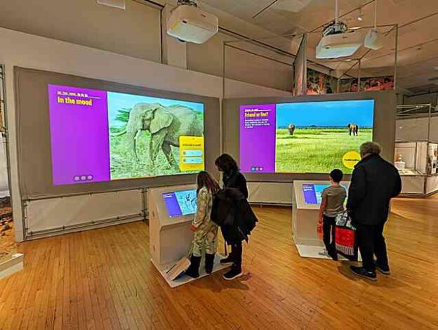 ゾウの秘密の世界 アメリカ自然史博物館の新特別展 The Secret World of Elephants - Petite New York