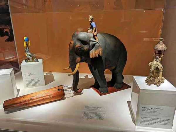 ゾウの秘密の世界 アメリカ自然史博物館の新特別展 The Secret World of Elephants - Petite New York