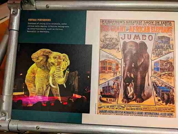 ゾウの秘密の世界 アメリカ自然史博物館の新特別展 The Secret World of Elephants - Petite New York