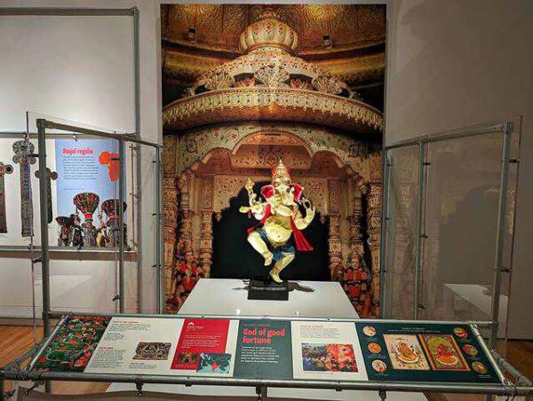 ゾウの秘密の世界 アメリカ自然史博物館の新特別展 The Secret World of Elephants - Petite New York