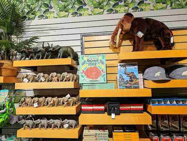 ゾウの秘密の世界 アメリカ自然史博物館の新特別展 The Secret World of Elephants - Petite New York