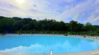 セントラルパークの見どころと楽しみ方！おすすめの回り方 - Petite New York